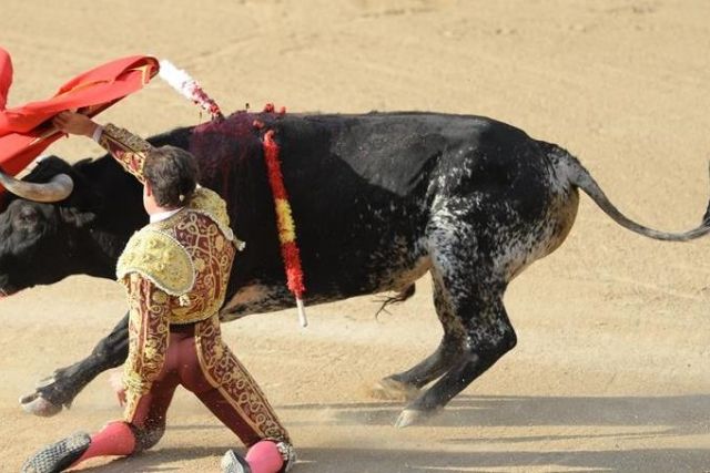 Matadors gear up for new season of bullfighting in Spain - Timeturk Haber