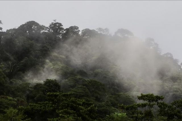 Wildfire season worldwide now starting earlier, lasting longer due to ...