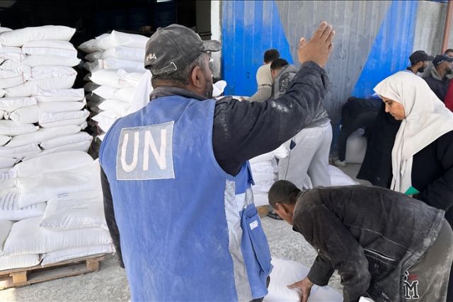 World Food Program halts distribution in northern Gaza until safety ...