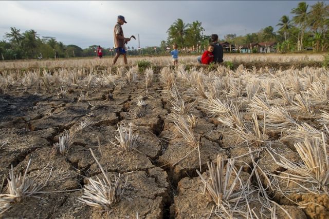 UN weather agency says El Nino continue to impact global climate - Timeturk Haber
