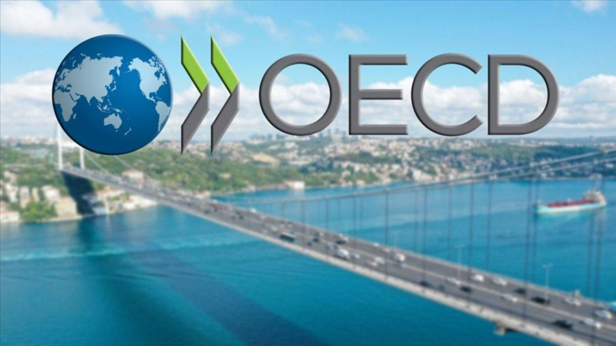Oecd Logo