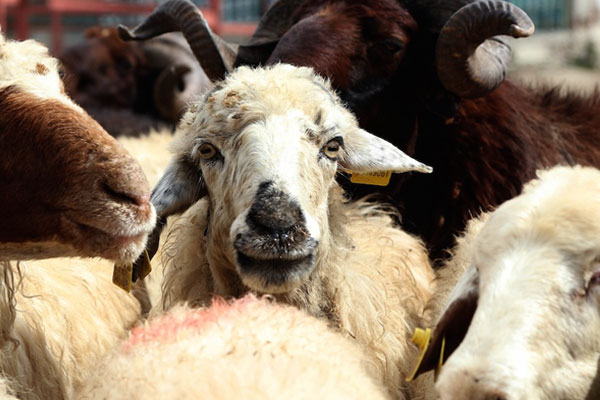 Anadolu Agency's Morning Briefing - Oct. 8, 2022 - Timeturk Haber